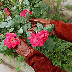 Alomidds Gardening Gloves for Women/Men Rose Pruning Thorn & Cut Proof Long Elbow Durable Cowhide Leather Gardening Gloves for Pruning Cacti Rose and Thorny Bushes (M, BROWN)