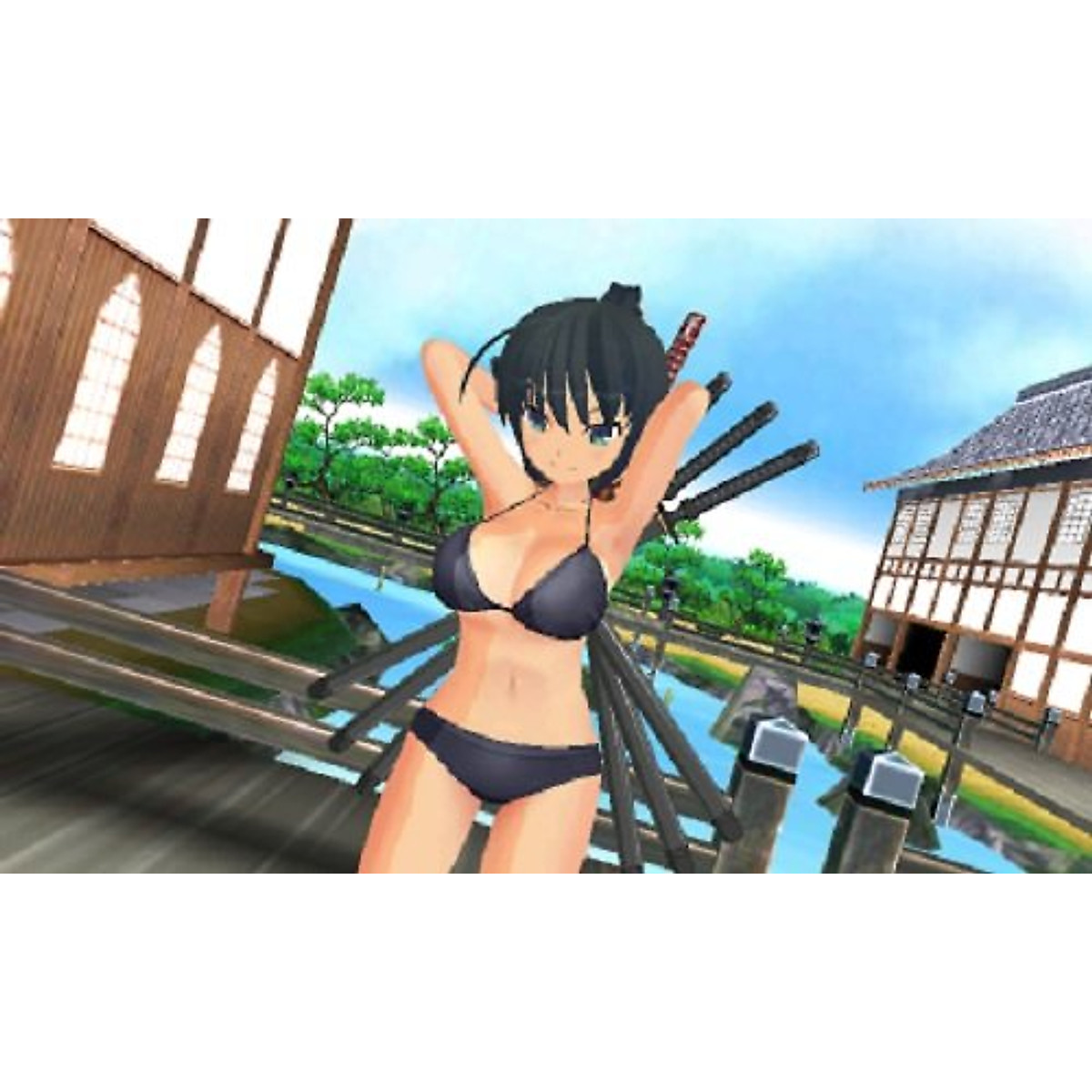 Senran Kagura Burst -Guren no Shoujotachi- [Japan Import]