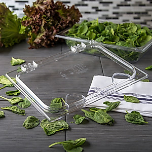 Carlisle FoodService Products CFS 10239Z07 EZ Access Hinged Lid with Handle and Notch, Half Size, Clear