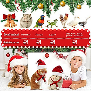24 PCS Christmas Pet Chicken Hat with Adjustable Chin Strap，Mini Red Santa Hat and Scarf Pet Rabbit Hats with Scarf for Hamster Guinea Pig Chinchilla Hedgehog Lizard Bearded Dragon Xmas.