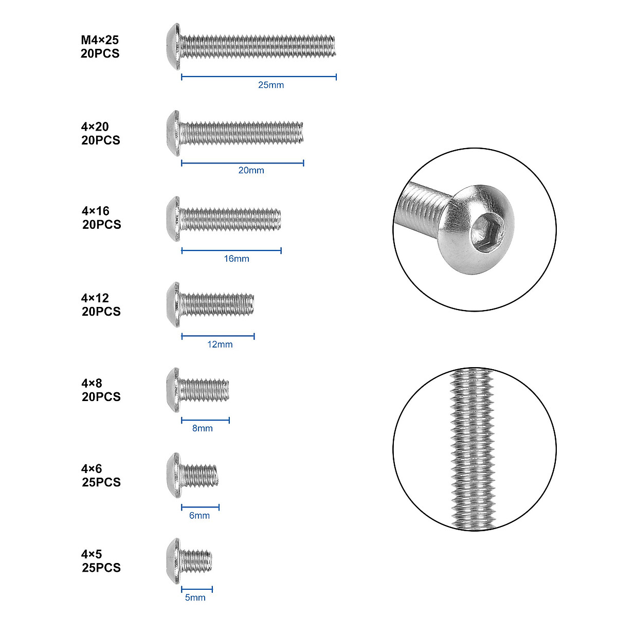 WELLOCKS Socket Cap Screw 251 PCS M4 Metric Bolts and Nuts Assortment Kit with Hex Wrench Button Head Stainless Steel 304 with Storage Box for Shelf Chair Desk Install Repair(D152)