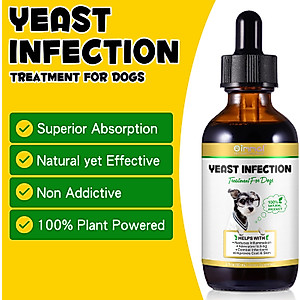 Natural Yeast Infection Treatment for Dogs - Supports Healthy Itch Relief & Inflammation - Dog Ear Infection Treatment & Allergy Relief - Itch Relief for Dogs, Dog Ear Treatment for Infections-2 fl oz