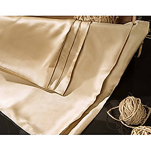 Hodeco Nature Silk Pillowcase 14x20 Inches Champagne Double Side 19 Momme Thick Silk Pillowcase for Hair and Skin 36x51CM 100% Mulberry Silk Bed Pillow Cover Toddler Size, Golden, 1 Piece