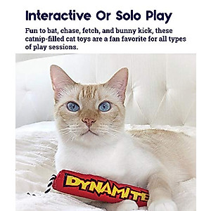Catstages Green Magic Dynamite Stick Catnip Cat Toy