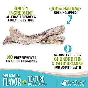 Raw Paws Freeze Dried Duck Necks for Dogs, 5-oz - All Natural Duck Dog Treats Made in USA Only - Human-Grade, Single Ingredient Duck Neck Dog Treat - Raw Freeze Dried Dog Treats