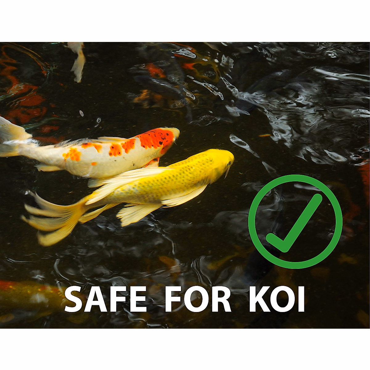 Green X – 1lb - String Algae Remover for Koi Ponds, Fountains, Waterfalls, Water Features- Safe for Fish Contact Algae Control- Treats up to 16,000 Gallons - Concentrated Granular Algaecide