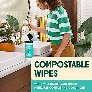 Aunt Fannie's Natural Cleaning Vinegar Wipes, Multipurpose Surface Cleaner, Eucalyptus Scent, 35 Count (Pack of 1), Packaging May Vary