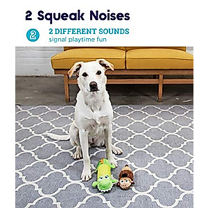 Petstages Stuffing-Free Big Squeak Gator Plush Dog Toy, Medium