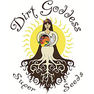 Non GMO Bulk Morning Glory, Moonflower Flower Seeds (1/4 Lb)