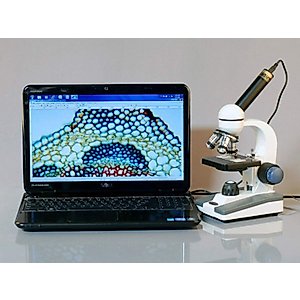 AmScope M150C-PS25-WM Compound Monocular Microscope, WF10x and WF25x Eyepieces, 40x-1000x Magnification, LED Illumination, Brightfield, Single-Lens Condenser, Coaxial Coarse and Fine Focus, Plain Stage, 110V, Includes Set of 25 Prepared Slides and Book