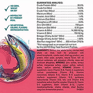 Purina Beyond Natural Dry Dog Food, Superfood Blend Salmon, Egg & Pumpkin Recipe - 3.7 lb. Bag