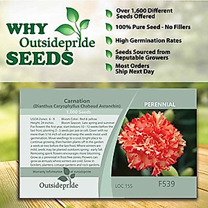 Outsidepride Dianthus Carnation Chabaud Avranchin Garden Cut Flower - 1000 Seeds