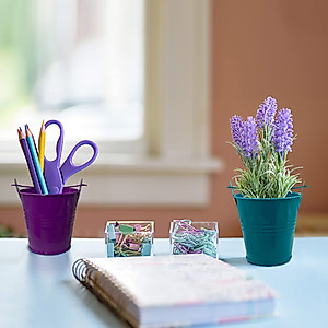 12 Pack Mini Metal Buckets Small Metal Pail Tinplate Tin Pails Containers with Handles for Party Favors and Garden Decorations