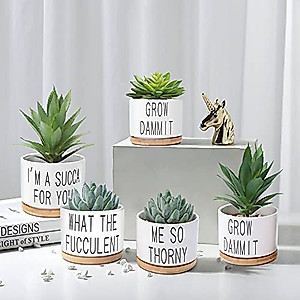 Succulent Pots, Popvip 3.15 Inch Ceramic Funny Planter Pots with Bamboo Tray, Housewarming Gift for Women, Best Friend, Daughter, Mom, Coworker, Pack of 2 - Plants Not Included (A)