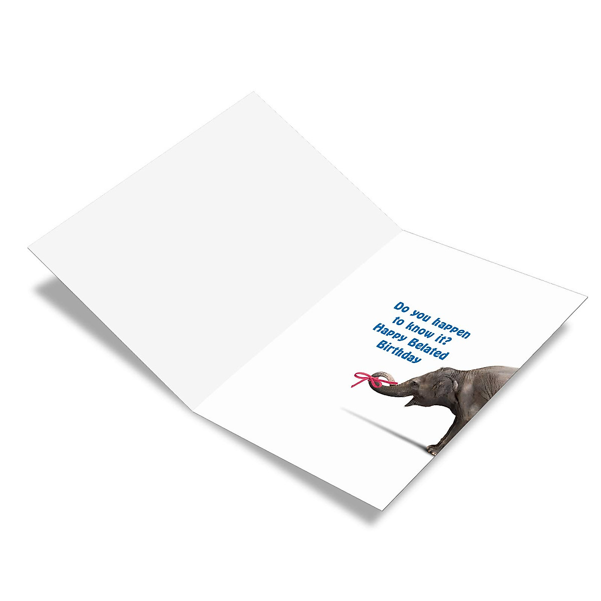 NobleWorks - Funny Happy Belated Birthday Card with Envelope - Congrats Greeting Card, Birthday Fun - Trick to Remembering C6353BDG