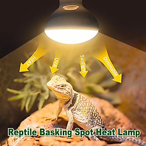MIXJOY Reptile Heat Lamp 100W 2 Pack, UVA Daylight Basking Spot Light, Amphibians Basking Bulbs Heat Lamps, Heat Lamp Bulbs for Reptiles, Lizard, Tortoise, Bearded Dragon