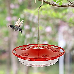 Juegoal 12 oz Hanging Hummingbird Feeder (12 oz)