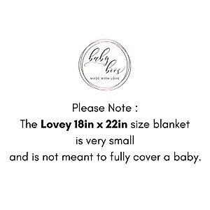 Gray Baby Blanket, baby blanket, Personalized Baby Blanket, Baby Blanket, baby shower gift, Double Minky Plush baby blanket, Newborn Baby Blanket Gift