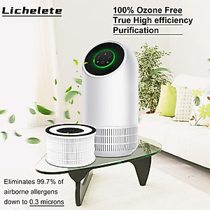 2-Pack True Replacement Filter Compatible with Afloia Fillo/Halo/Mooka Allo, 3-in-1 High Efficiency True Filter for Fillo filter, for Moo ka Allo Filter