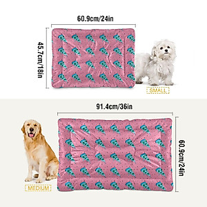 Coikll Alien Pizza Pet Bed Pad Soft Dog Bed Mat with Anti-Slip Bottom, Machine Washable Crate Pad Mattress for Dog Sleeping- 36 * 24inches