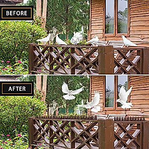 EcoGrowth Bird Spike for Small Birds and Cat, Pigeon Spike for Outside, Critters Fence Spike for Fence, Wall, Roof, Railing - 24 Pack [35.4FT]