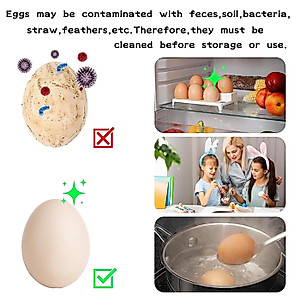 2Pack Fresh Egg Brush Cleaner, Egg Cleaner for Fresh Eggs,Egg Washer for Fresh Eggs,Cleaning Tools for Egg Washer (White+Eggcolor）