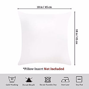 Bonhause Garden Spring Pillow Covers 18x18 Inch Set of 4 Live Life in Full Bloom Pillows Case Soft Velvet for Couch Sofa Patio Garden Decor