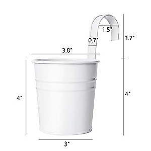 Dahey 10 Pcs Hanging Flower Pots Metal Iron Bucket Planter for Railing Fence Balcony Garden Home Decoration Flower Holders with Detachable Hooks, Black, 4 Inches