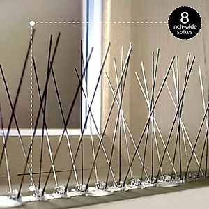 Bird-X Extra Wide 8-inch Stainless Steel Bird Spikes - Metal Roof Guard, Pigeon and Bat Deterrent, Animal and Pest Control Supplies, Covers 10 Feet