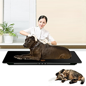 Large Breed Dog Weight Scale, Max Capacity 220 lbs, Surface, Easy Read LCD, Tempered Glass Platform, Includes Comfort Cushion, Ideal for Families and Veterinary Offices, XL(31.5inches)