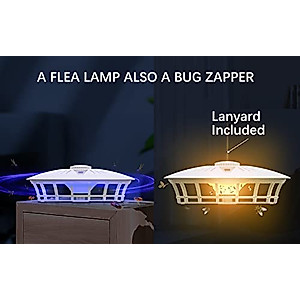 Flea Trap for Inside Your Home(2 Packs), Natural Flea Killer w/Warm & Purple LED Light, Flea Fighting Tool Kit for Flea Infestation