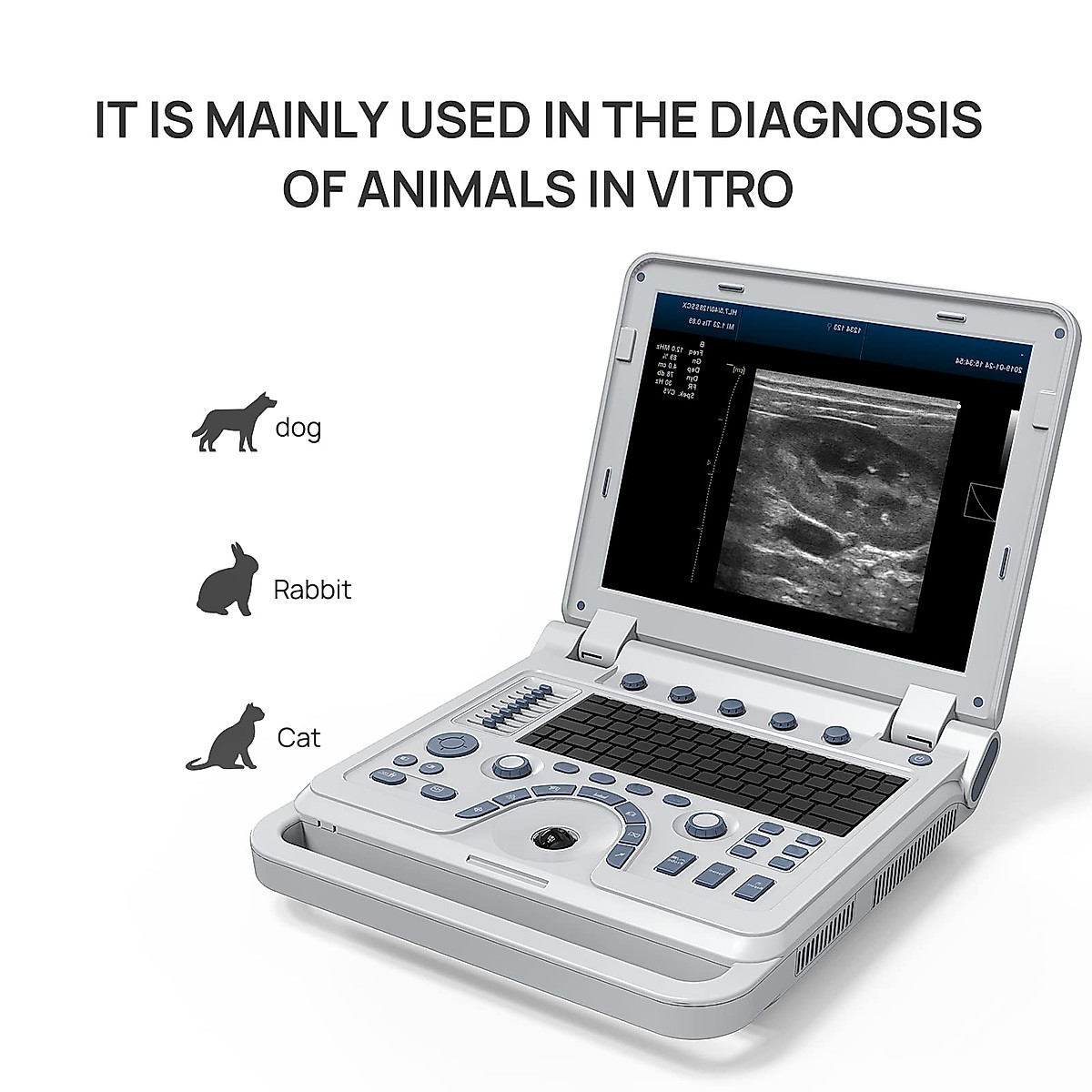 Veterinary B-Ultrasound Scanner with High Resolution and PW Doppler for Animal Horse Equine Goat Dog Rabbit Snake Dolphin Convex & Linear Probe