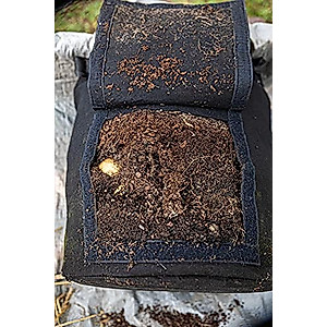 Gardzen 6 Pack BPA-Free 10 Gallon Vegetable Grow Bags with Access Flap and Handles, Suitable for Planting Potato, Taro, Beets, Carrots, Onions, Peanut