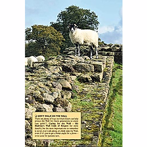 Hadrian's Wall Path: 64 Large-Scale Walking Maps & Guides to 29 Towns & Villages - Planning, Places to Stay, Places to Eat