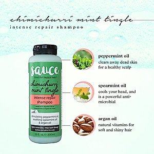 SAUCE BEAUTY Intense Repair Shampoo - Chimichurri Mint Tingle Hair Repair Shampoo - Hydrating Shampoo for Damaged Hair - Paraben and Sulfate-Free Hair Shampoo With Argan & Peppermint Oil (10 Fl Oz)