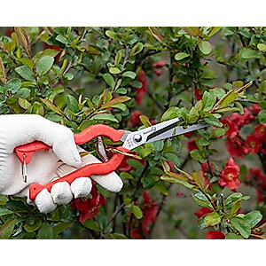 Sanung 2 PACK Multifunctional Thin Fruit Scissors, P-905 Garden Pruner Shears Cutters with Anti-Slip Grip High-Grade Spring Lock Garden Pruner for Garden Fruits Vegetables Plants Flowers