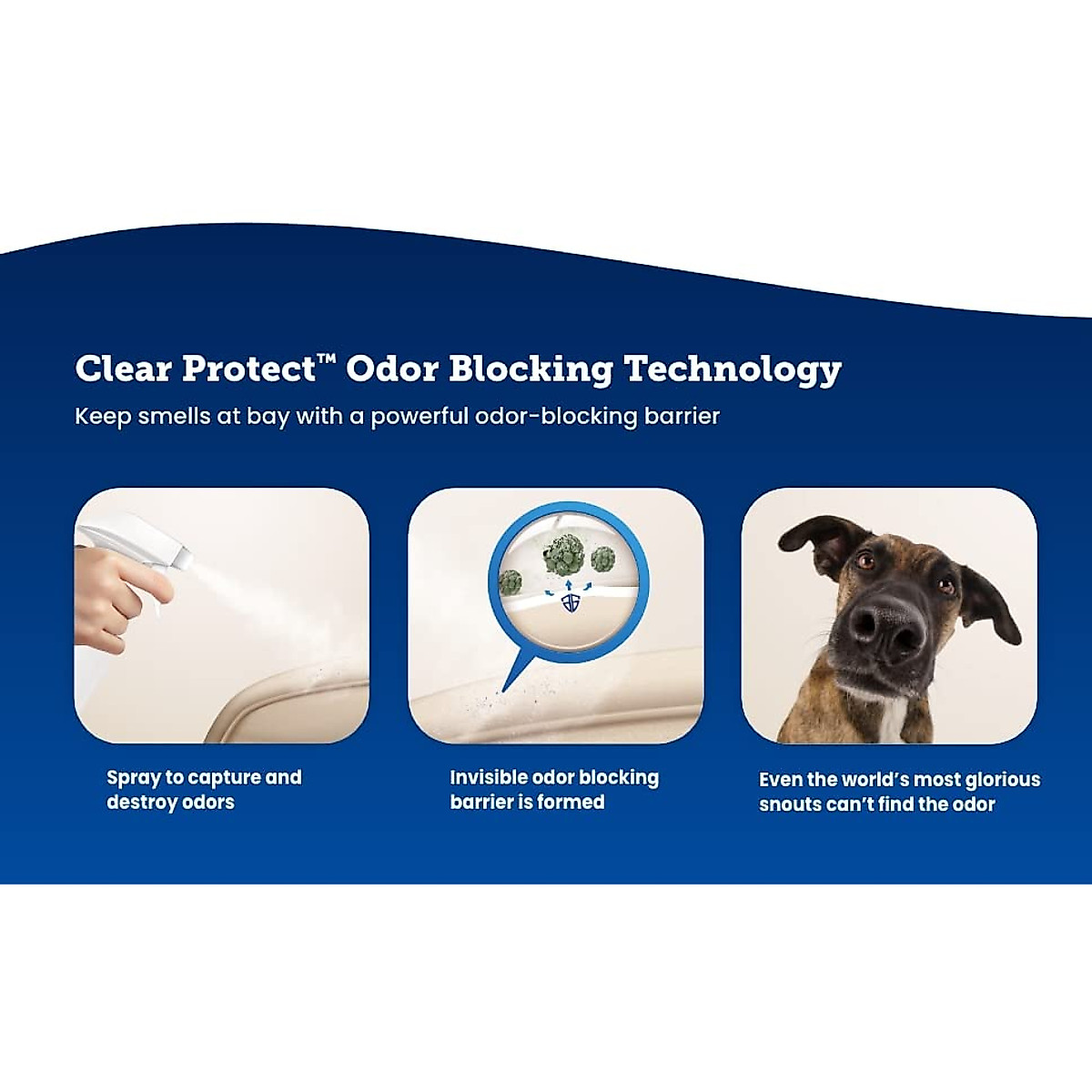 Apply Guard Professional Strength Pet Stain And Odor Eliminator for Dogs, Cats, and All Pets- Instantly Neutralize and Sanitize Tough Pet Odors and Pet Urine Stains 16oz. Cat Pee Odor Destroyer.