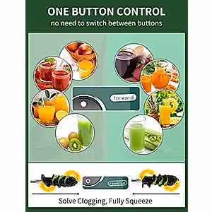 Vegetable Juicers for Celery Wheatgrass Ginger Beets, Fruit Juicer Machines Slow Masticating Juicer Cold Press Juice Extractor Pulp Separated, Quiet Motor, BPA Free, Dishwasher Safe, Easy To Clean