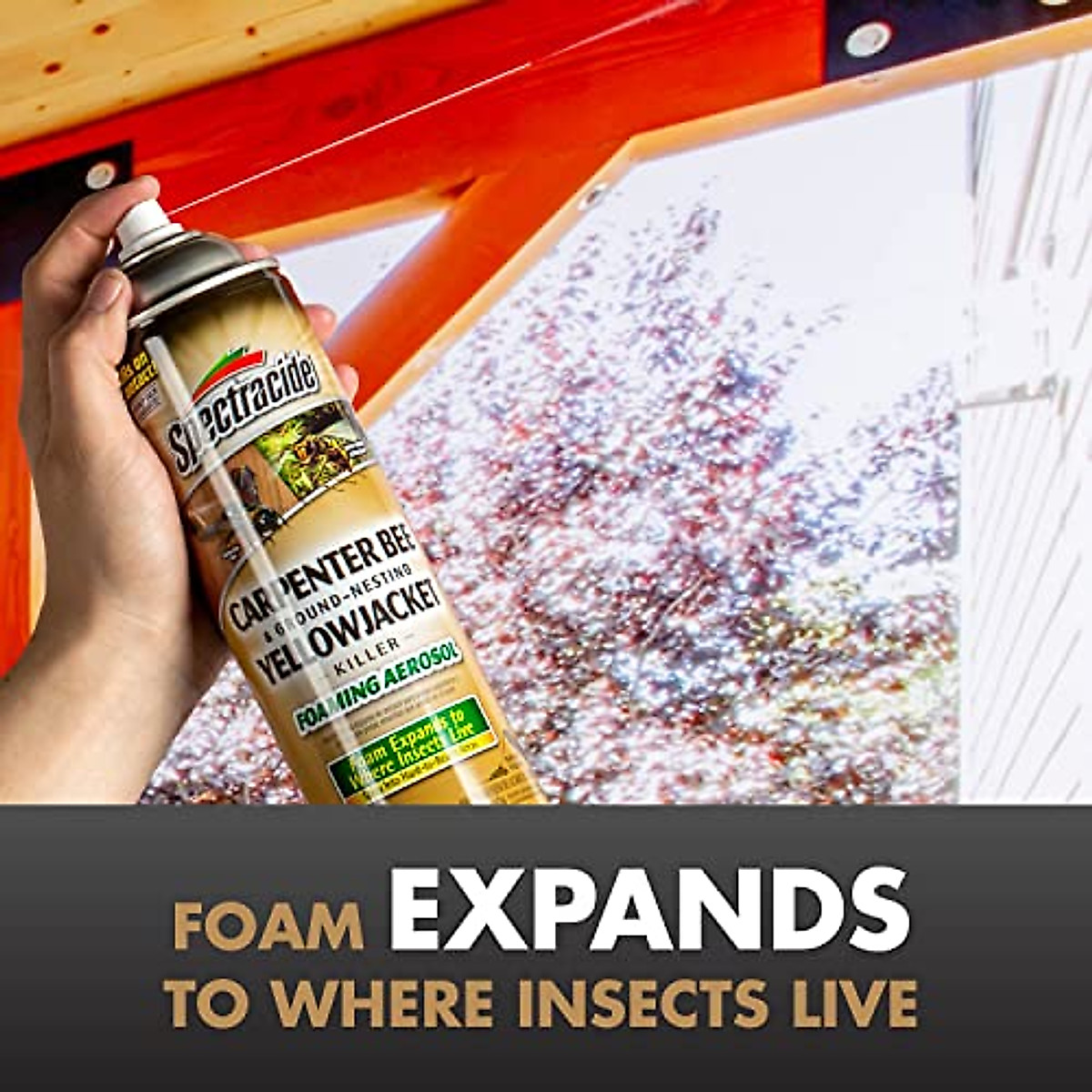 Spectracide Terminate Termite Killing Foam, Kills Exposed Subterranean, Drywood and Dampwood Termites On Contact, for Insects, 16 fl Ounce