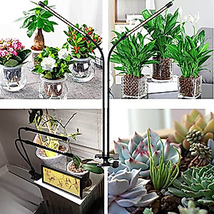 FRGROW Grow Lights for Indoor Plants Full Spectrum, Plant Grow Lights, 3000k/5000k/660nm Plant Growing Lamps, Clip on Plant Lamp with White Red LEDs, Timer Setting, 10-Level Dimmable(2-Head)