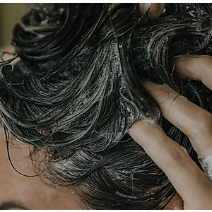 EVOLVh - Natural UltraShine Moisture Shampoo | Vegan, Non-Toxic, Clean Hair Care (8.5 fl oz | 250 mL)