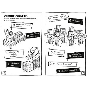 Minecraft Joke Book