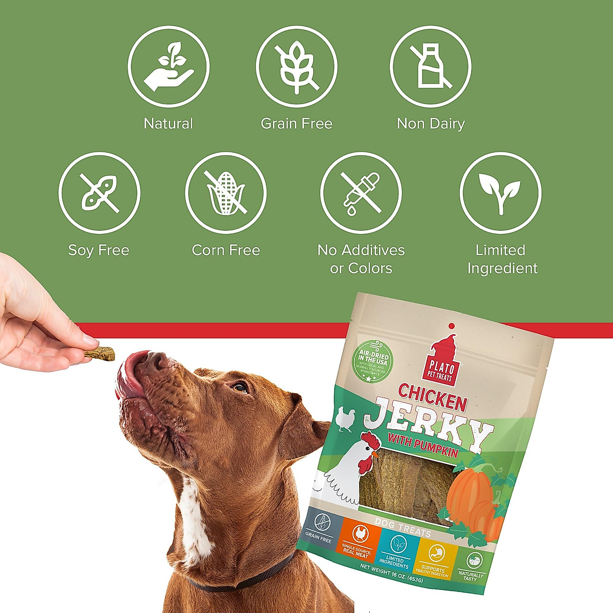 PLATO Pet Treats Air Dried, Real Meat, Chicken Jerky with Pumpkin Dog Treats, Made in The USA, Grain Free, 16oz