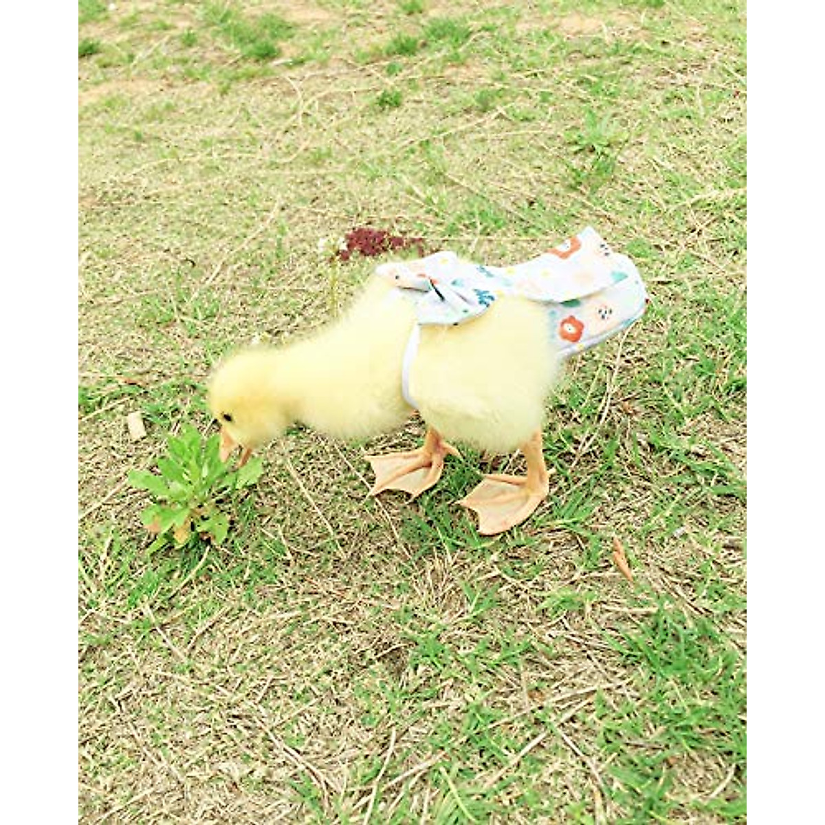 HEZHUO Duck Diapers, Chicken Diapers, Special Diapers for Poultry, Chicken, Duck and Goose Waterproof, Adjustable, Washable and Reusable Diapers，Poultry Supplies, Duck Supplies (M:200g-250g)