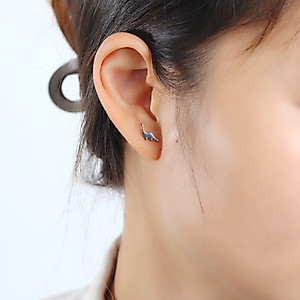 TGNEL Lovely Pure Titanium Dinosaur Earrings for Women Sensitive Ears, Cute Animal Earrings Studs Hypoallergenic Earring Jewelry for Animal Lover