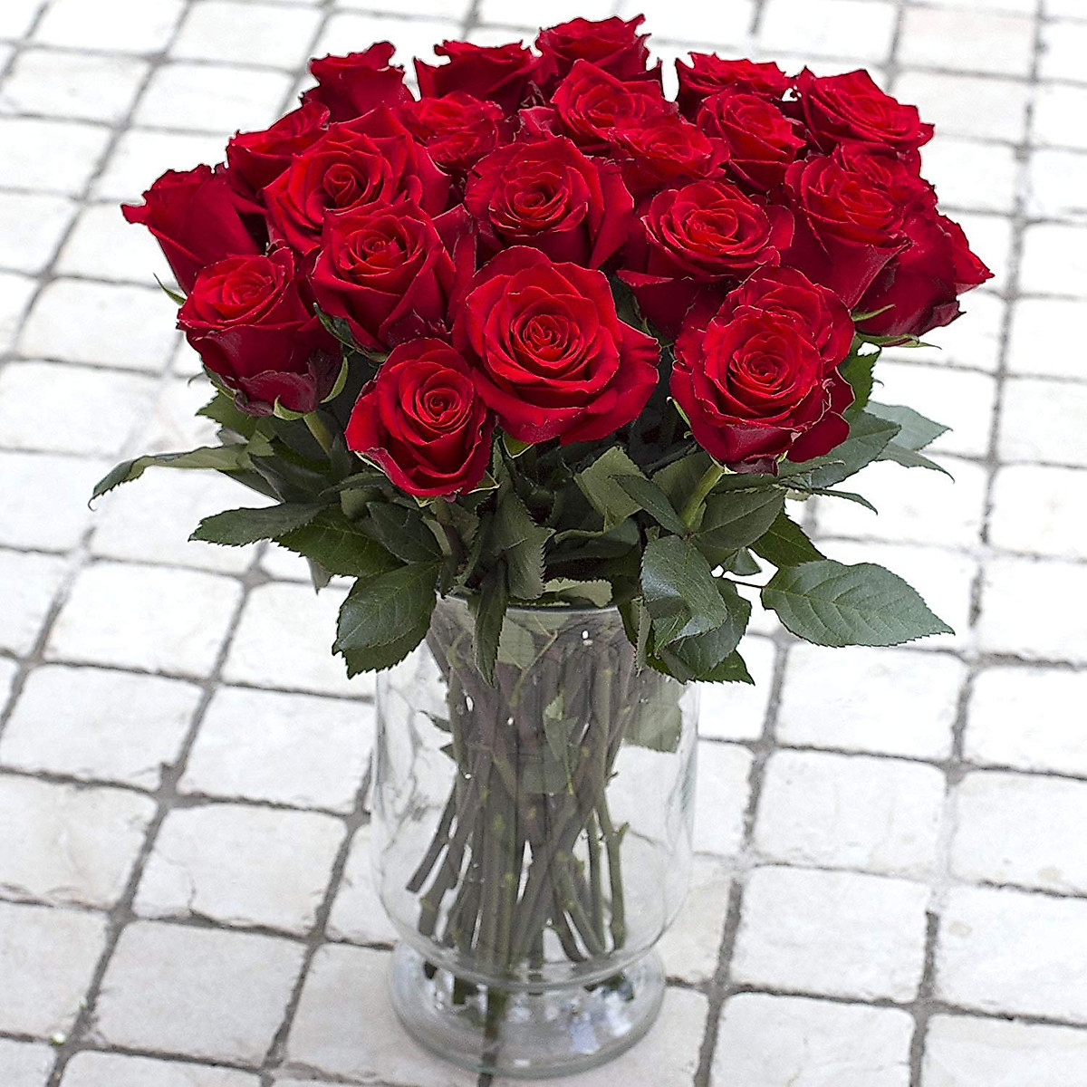 Fresh Cut 24 Red Roses - Fresh from the Farm Red Rose Bouquet – Hand-Selected Long-Lasting, Gift and Home Decor Perfect Fresh Flowers |20" Long Stems No Vase-2 Dozen | Flowers Gift