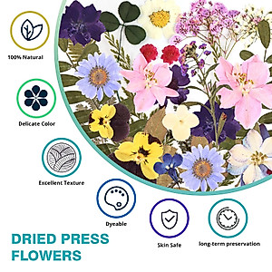 Resiners 100Pcs Dried Pressed Flowers for Resin Molds, Purple Real Pressed Flowers Dry Leaves Kit for Art Crafts Resin Jewelry Making Scrapbook Supplies Card Making Soap Candle DIY