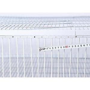 Big Foldable Galvanised Pigeon Dove Bird Trap Cage Feral Pigeon Humane Way with The one-Way Entrance Trapping Pigeons Doves in Cages (40x40x26 4Entrance)