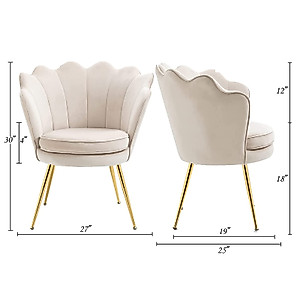 ZJhome Modern Accent Velvet Chairs Set of 2 Comfy Upholstered Vanity Chairs for Bedroom Shell-Shaped Armchair Dining Chairs with Golden Metal Legs Desk Chair Makeup Chairs for Living Room(Beige)