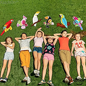 KatchOn, Big Tropical Birds Honeycomb Cutouts - Pack of 6, Luau Party Decorations | Hawaiian Party Decorations | Tropical Party Decorations, Tropical Birthday Party Decorations, Rainforest Decorations